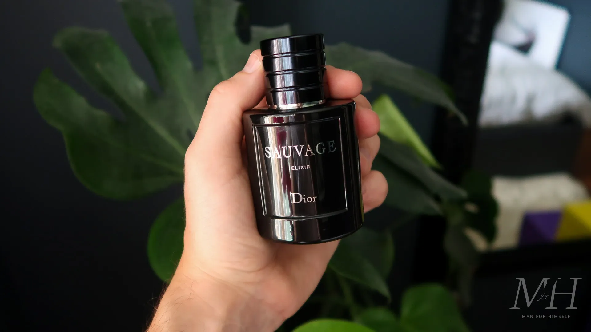 Unraveling the Mystique: A Comprehensive Dossier on Dior's Sauvage ...